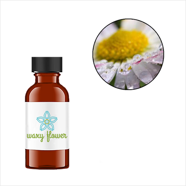 Spring Rain Fragrance Oil | Waxy Flower